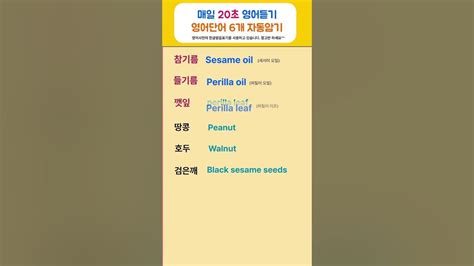고잉영어 기초생활영어 매일 쓰는 조미료 영어로 말하기 20초 영어듣기 틀어만 두세요 필수영어단어 영어회화 Shorts 영어공부 Korean