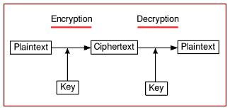 Cryptographic Algorithms