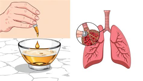 ხალხური მეთოდი რესპირატორული დაავადებების წინააღმდეგ გულსოსანას ჩაი