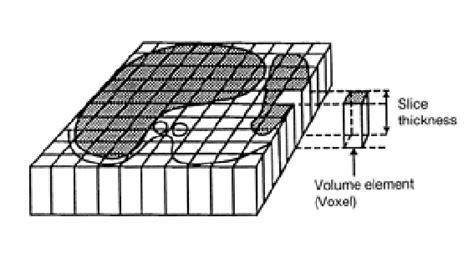 Voxel Voxel Short For Volume Pixel Is The Smallest Distinguishable Download Scientific