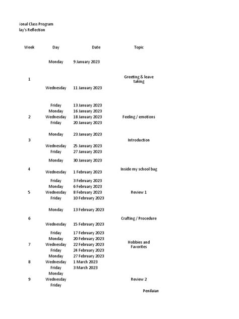 International Class Program Pdf Psychology Cognition
