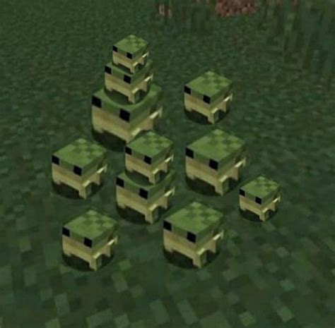 How To Draw Minecraft Cat Drawing Word Searches