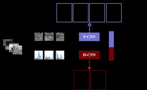 The Proposed Dual Domain Fusion Convolutional Neural Network Download Scientific Diagram