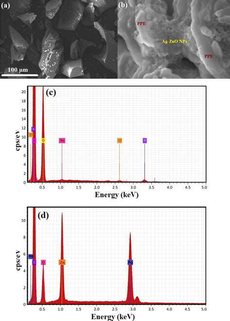 Morphological Surface Determination And Elemental Analysis Where A Sem Download Scientific
