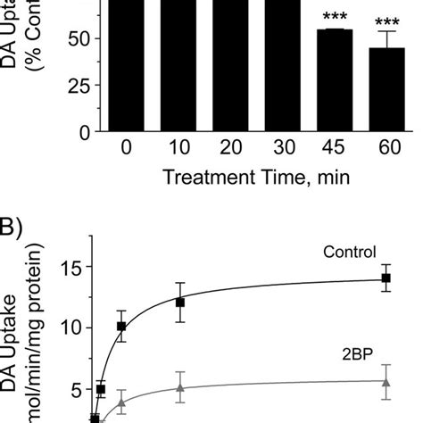 Kinetic Analysis Of 2bp Effects In Synaptosomes A Rat Striatal