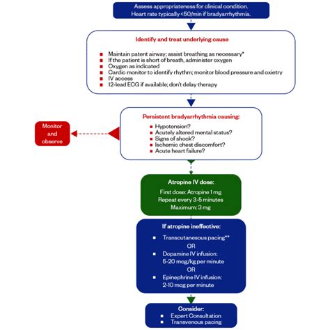 Acls Algorithm Guide Simplify Life Saving Techniques