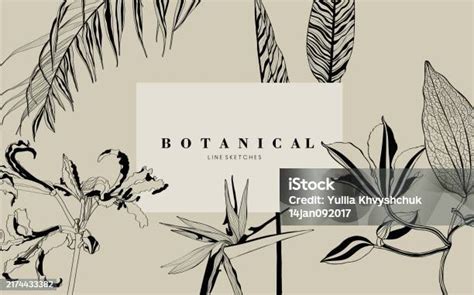 봄 꽃 새겨진 배경 결혼식 배경 카드 꽃 장식 테두리 벽지 감사합니다 Rsvp 초대장 우아한 카드 일러스트 그래픽 세트 배너 0명에 대한 스톡 벡터 아트 및 기타 이미지