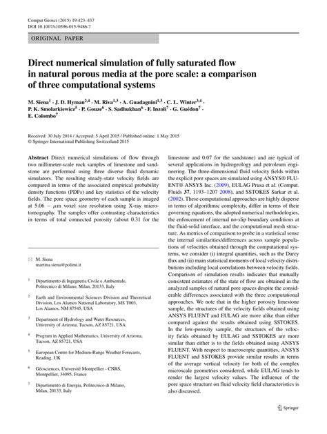 Pdf Direct Numerical Simulation Of Fully Saturated Flow In Natural