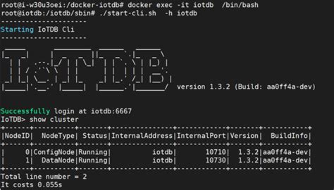 Docker Deployment Iotdb Website