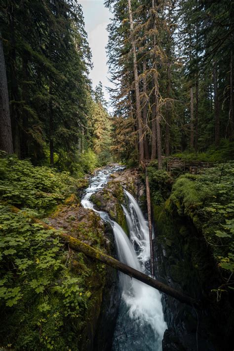Three Waterfalls In Olympic National Park
