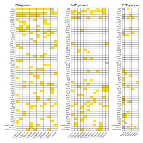 Parallel Genetic Evolution Genes With Mutations In Two Or More