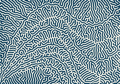 Turing Reaction Diffusion Pattern With Abstract Motion Vector