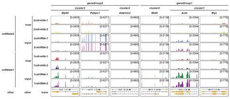 Chapter 5 Basic Visualization Biosequtils Reference