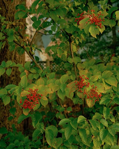 Ashley Mclean Past Exhibitions