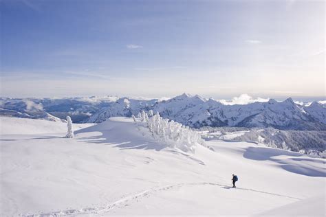 Snowshoer Mt Rainier Skyline Trail Snow Nick Mealey Flickr
