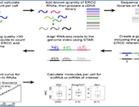 Scdist Robust Identification Of Perturbed Cell Types In Single Cell
