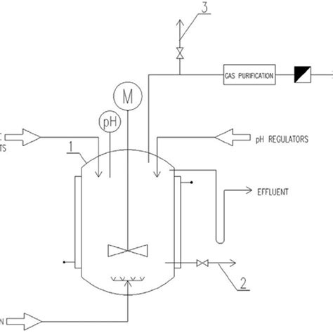 Schematic Diagram Of The Cstr Reactor Łukajtis Et Al 2018