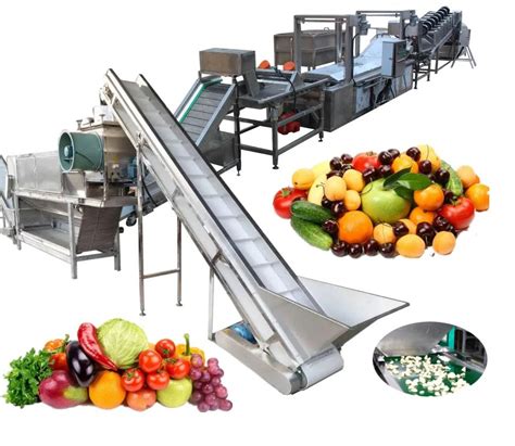 High Quality Solutions For Fruit Processing Line Mic Machinery