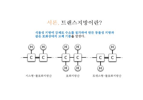 트랜스지방 레포트 자연공학