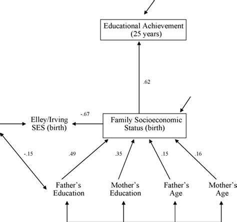 Fitted Latent Variable Model Of The Linkage Between Family Download Scientific Diagram