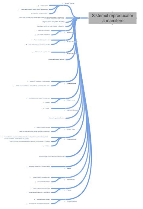 Sistemul Reproducator La Mamifere Coggle Diagram