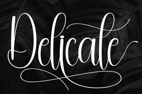 Delicate Script Font Download Free Font