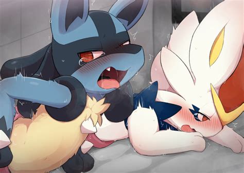 Rule 34 Anthro Blush Bodily Fluids Cinderace Duo Generation 4 Pokemon Generation 8 Pokemon