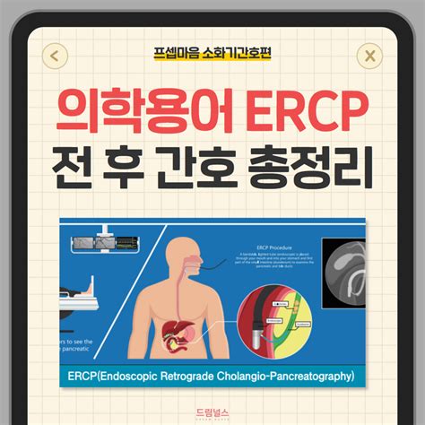 의학용어 Ercp 목적 방법 전 후 간호 네이버 블로그