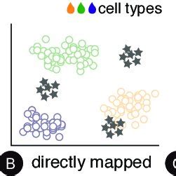 A Single Cell Transcriptomics Data Is Represented By A Matrix That Download Scientific