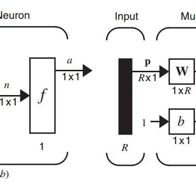 5 A Multiple Input Neuron B Neuron With R Inputs Matrix Notation
