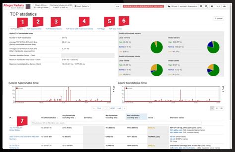 Allegro Network Multimeter 7 Tcp Statistics At A Glance Full Control