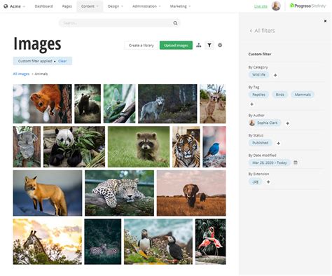 Sitefinity Content Management And Digital Marketing Platform