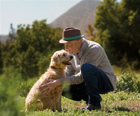 Dupixent® Dupilumab In Adults With Nasal Polyps