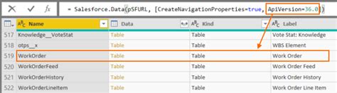 Cannot Access Salesforce Work Order Object Via Pow Microsoft Fabric Community