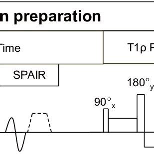 A Scheme Diagram Of The Proposed Pulse Sequence The Pulse Sequence Download Scientific Diagram