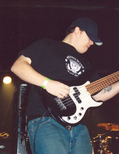 Calico System Pictures