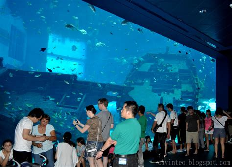 Entree Kibbles The Maritime Experiential Museum And Its Amazing Typhoon