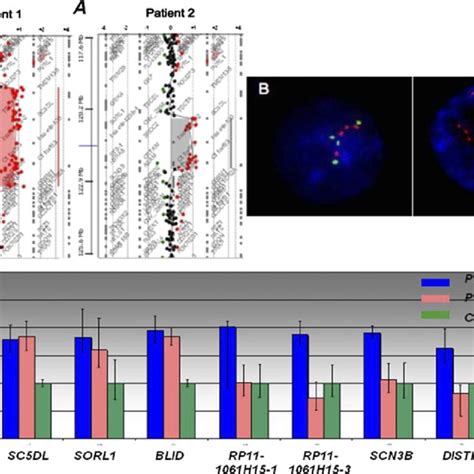 A Array Comparative Genomic Hybridisation Results Using Agilent Download Scientific Diagram