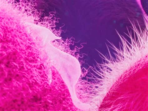 Director Bea Höller Explores Female Sexuality In Klimax Short Film Motion Design Stash