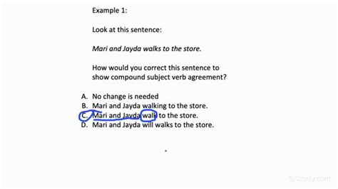 Correcting Compound Subject And Verb Agreement Errors English