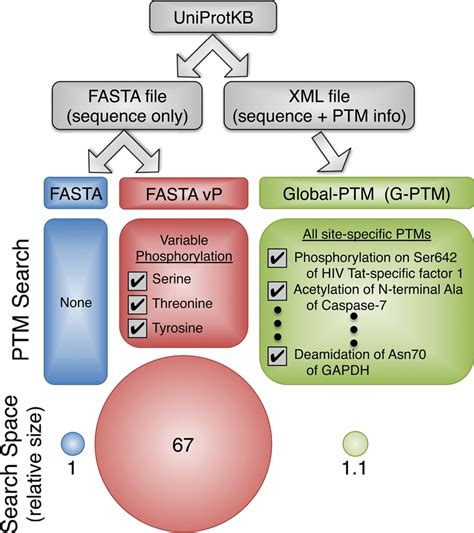 Comparison Of Three Proteomics Database Search Strategies No Ptms
