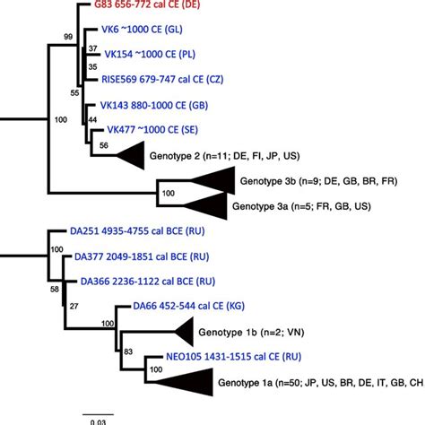 A Maximum Likelihood Tree Illustrating The Phylogenetic Position Of The