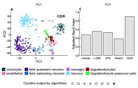Cidr Ultrafast And Accurate Clustering Through Imputation For Single Cell Rna Seq Data Rna