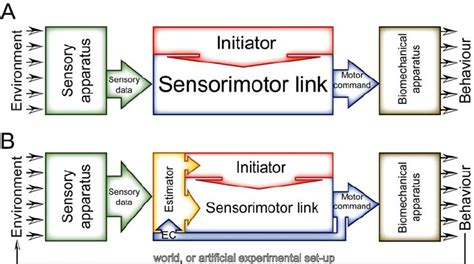 Suggested Models For Open And Closed Loop Experiments Aopen Loop