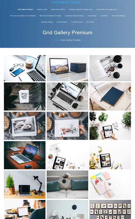 Grid Gallery Wordpress Plugin A Wp Life Plugins And Themes