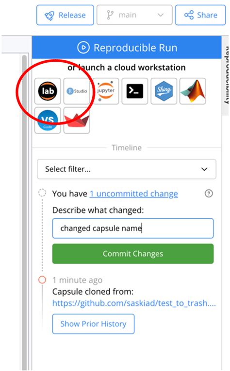Creating A Code Ocean Capsule Synced To Github Repo — Swdb 2024 Data Book