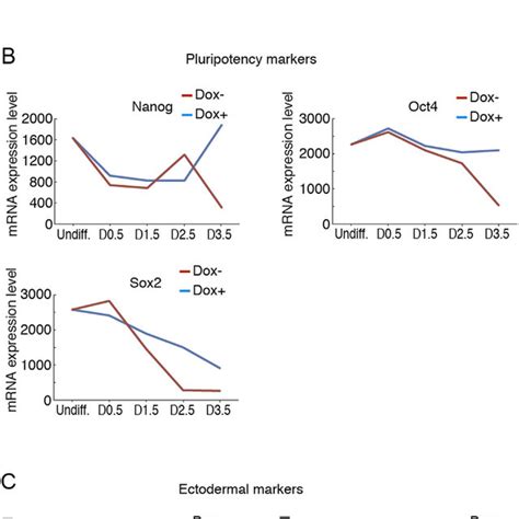 Global Transcriptome Analysis With Dna Microarray Shows Earlier Three
