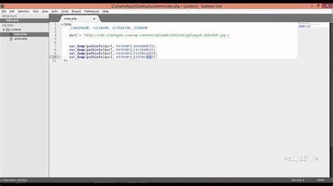 Php Pathinfo Filename Extension Basename And Download Image File To Server From Url Youtube