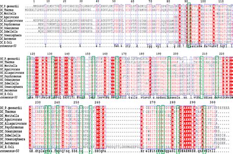 multiple sequence alignment of octases from diverse genera using