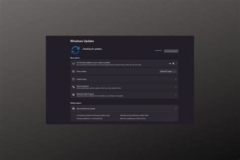 How To Manually Check And Install Windows 11 Updates Best Guide